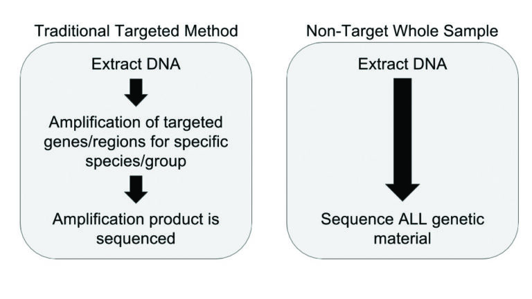 DNA Services – Exact Scientific Services
