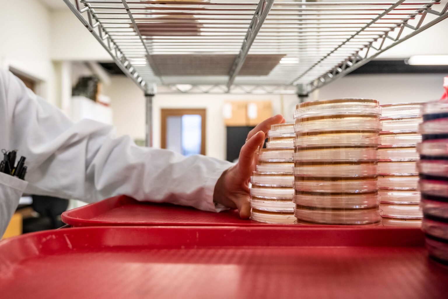 Food Product Testing – Exact Scientific Services